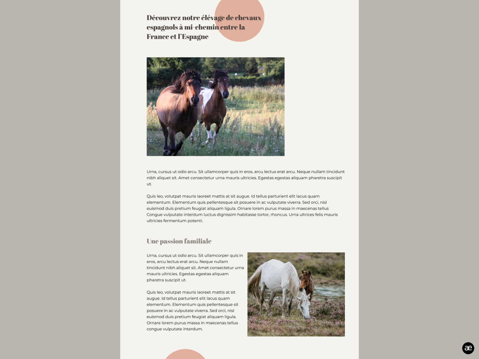 Horse Breeding Breeding Section By Elodie Atanley On Dribbble