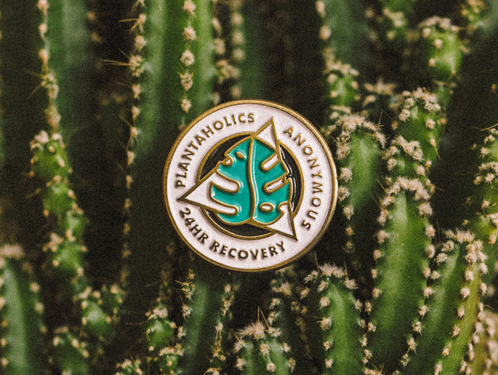 Plantaholics Anonymous Enamel Pin by Ben Connolly on Dribbble