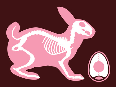 X Ray designs, themes, templates and downloadable graphic elements on ...