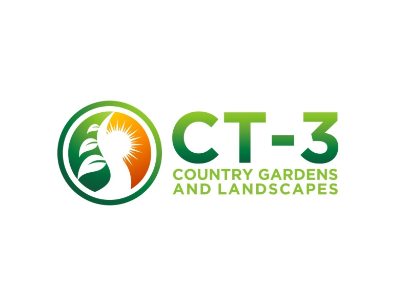 CT3 by Eagle Media on Dribbble