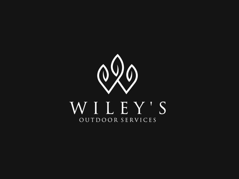 John Wiley And Sons Logo