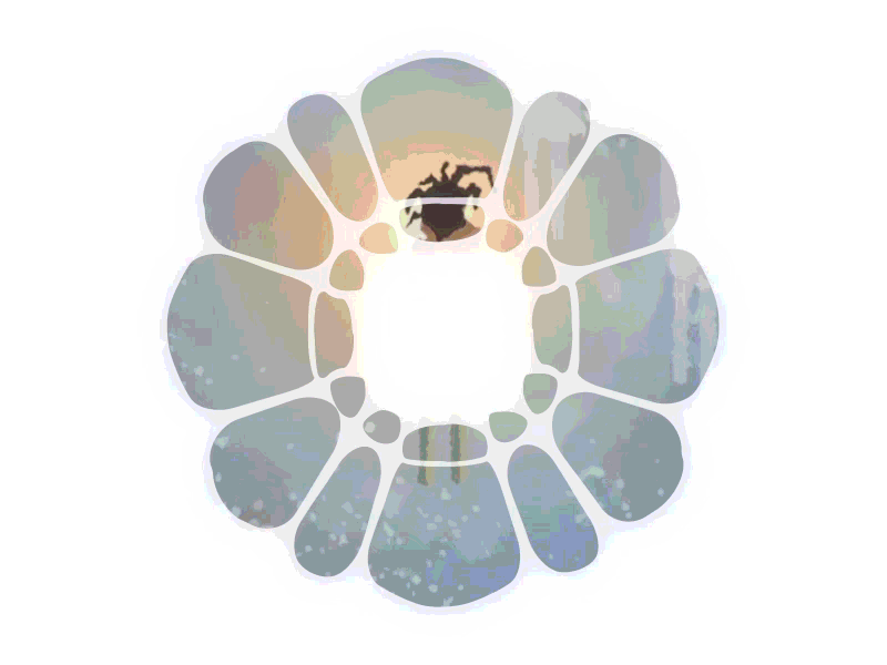 Browse thousands of Modular Style images for design inspiration | Dribbble