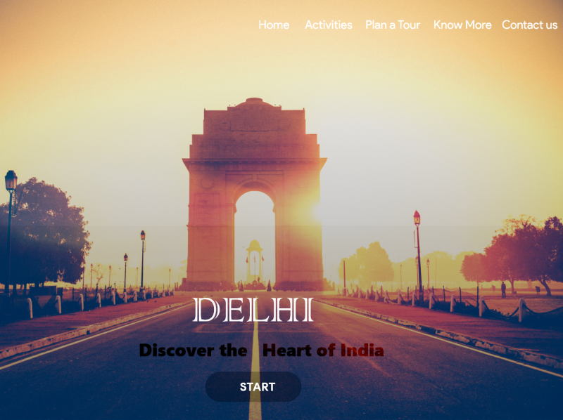 Delhi-The heart of India by Shatakshi Raman on Dribbble