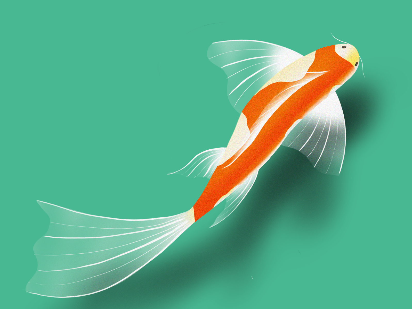 Fish by Tanya Golota on Dribbble