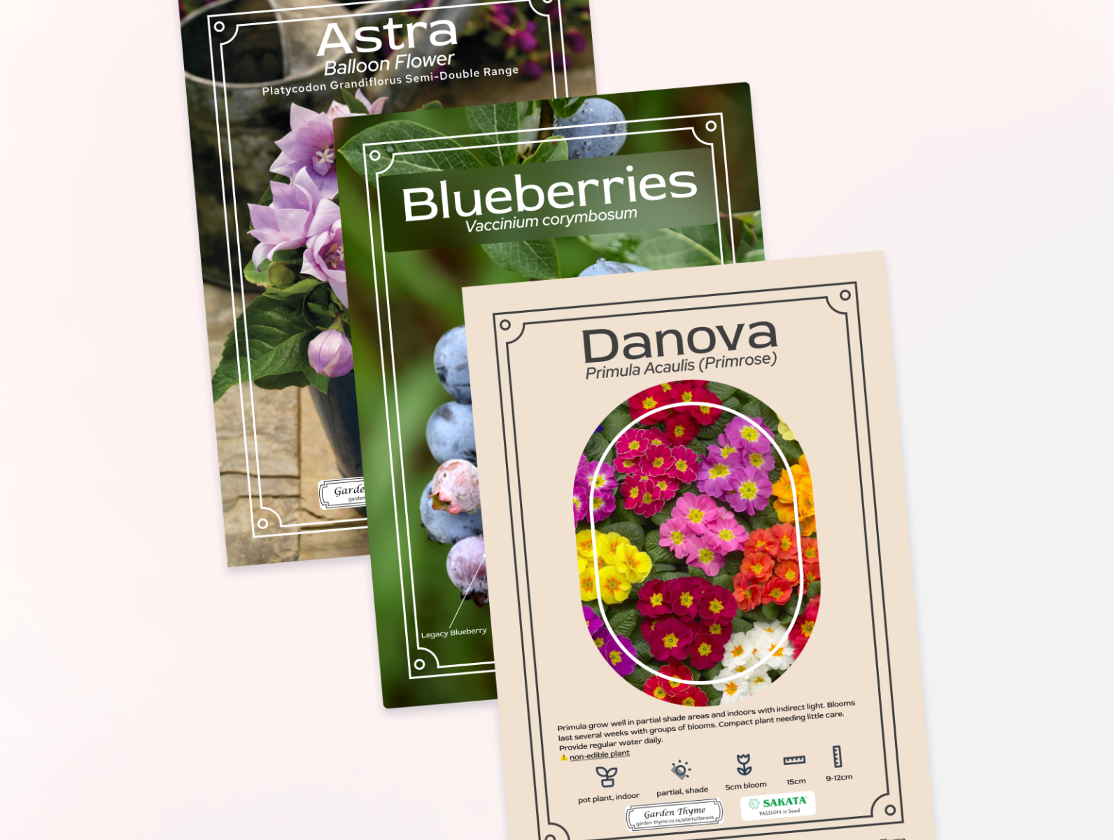 Plant Poster Collections by ReeceM on Dribbble