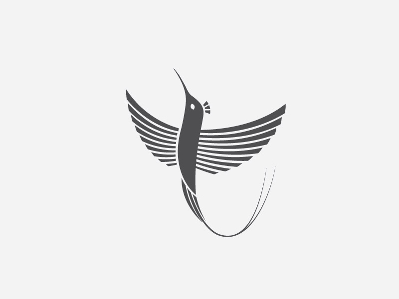 Doctor Bird by Samadara Ginige on Dribbble