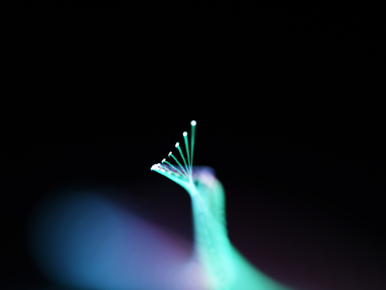 💡 BIO LUMENS by SirCharles on Dribbble