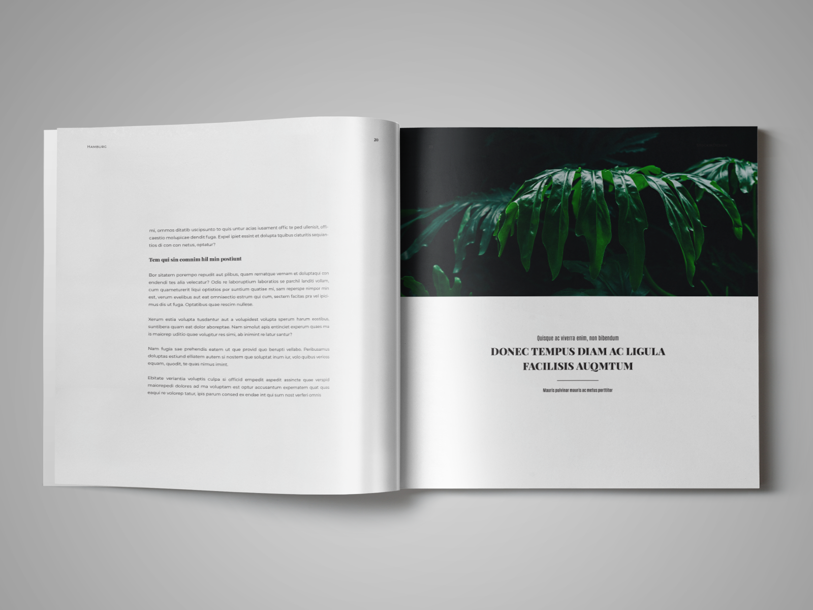 Coffee Table Book Template for InDesign by StockInDesign on Dribbble