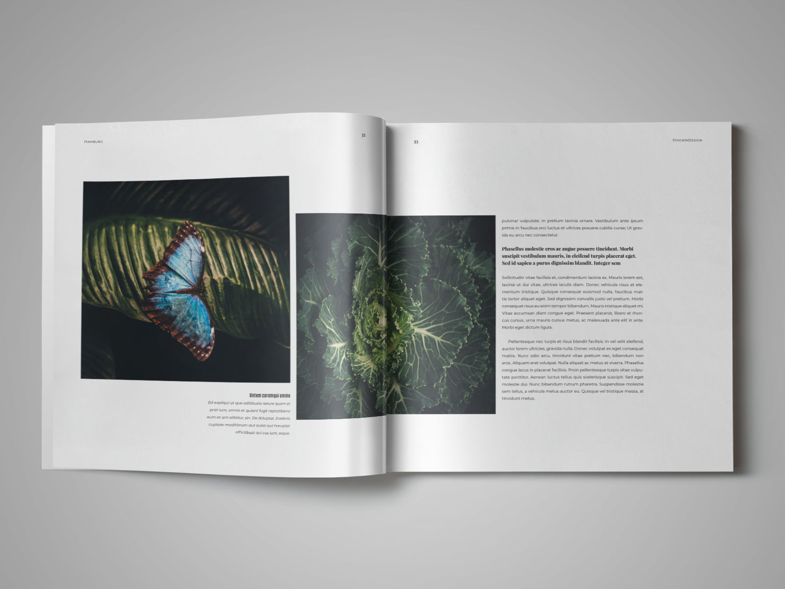 Coffee Table Book Template For InDesign By StockInDesign On Dribbble