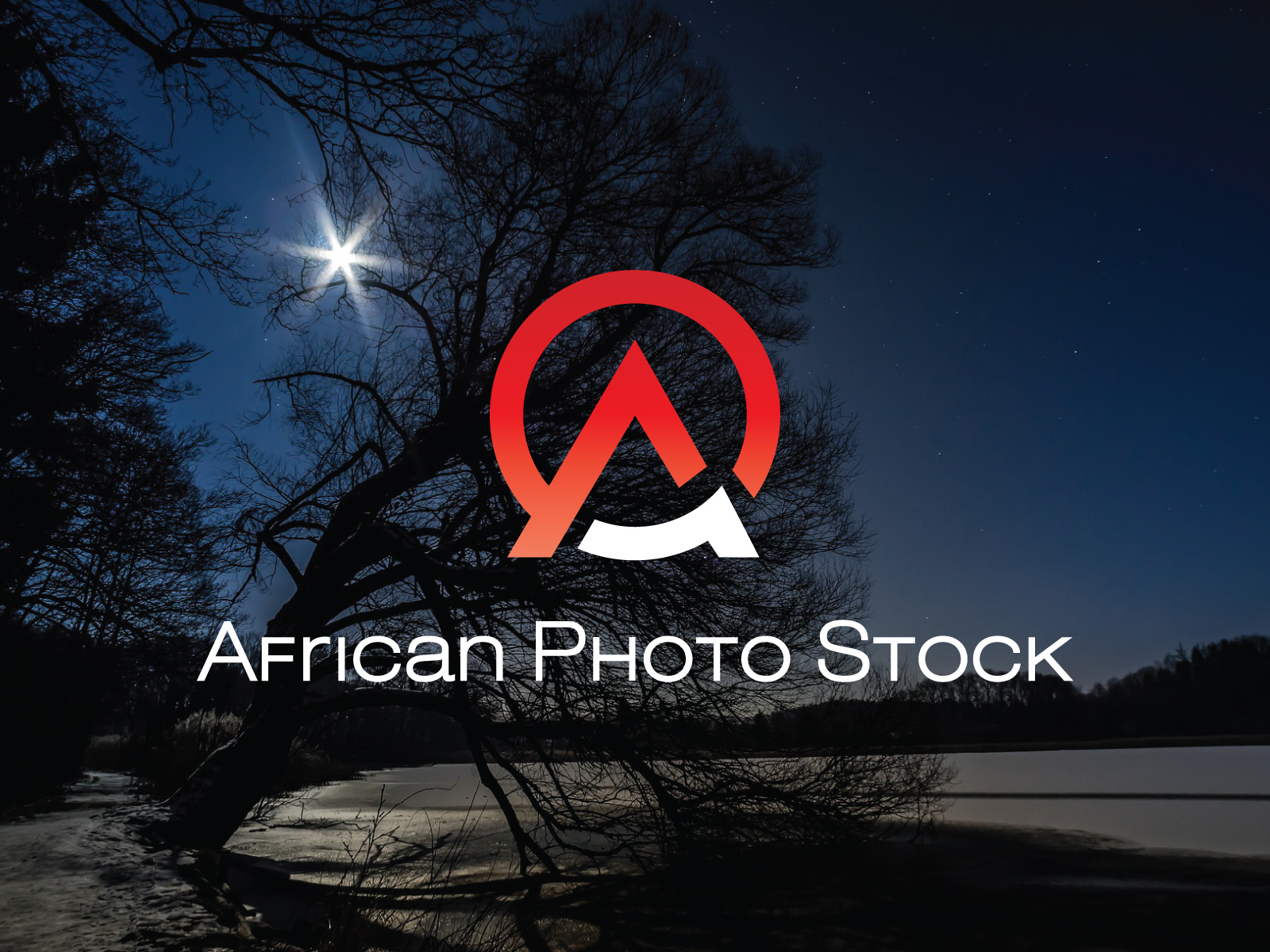 Photography Logo by Imran H Sardar on Dribbble