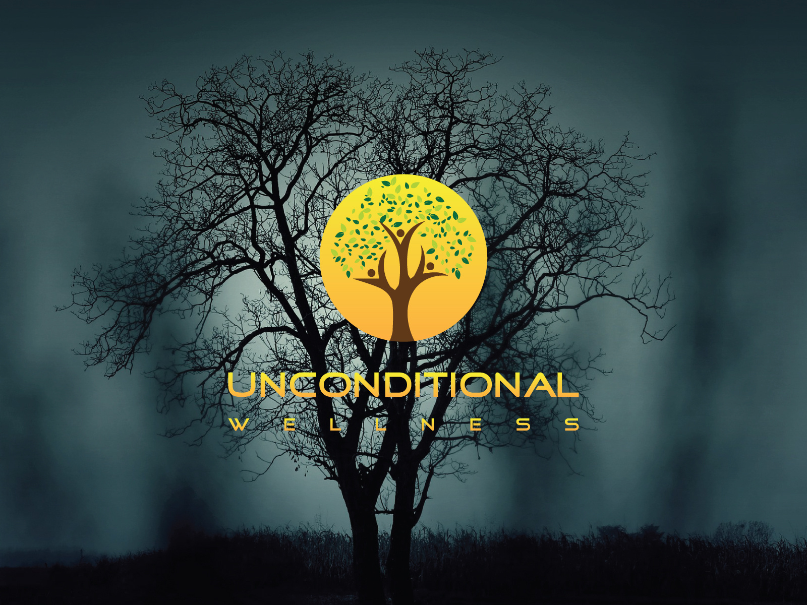 Wellnes Logo by Imran H Sardar on Dribbble