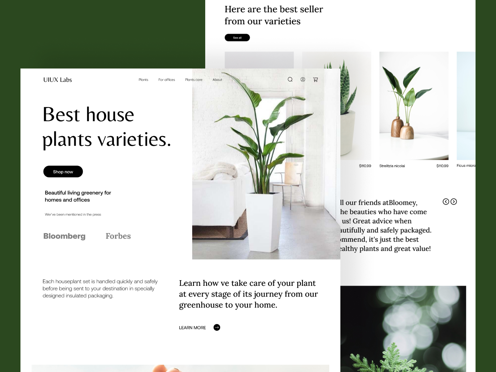 Plant Landing Page by Shreay Goyal on Dribbble