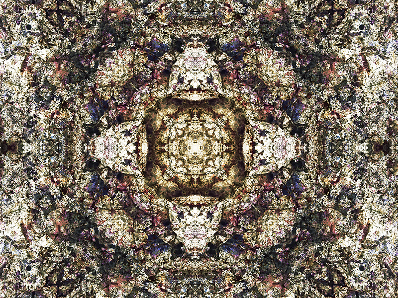 Pine Tree Bark, Sacred Geometry by HyperHenrik on Dribbble