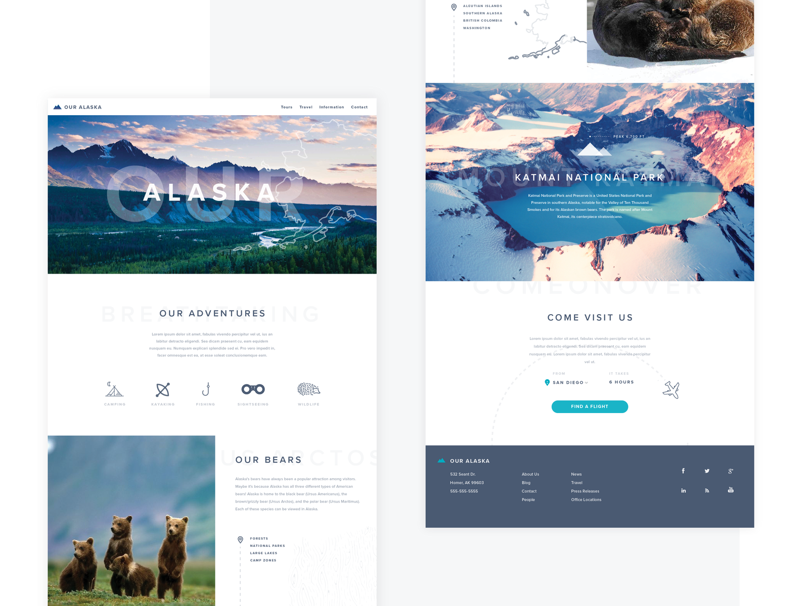 Alaska Project by Diana on Dribbble