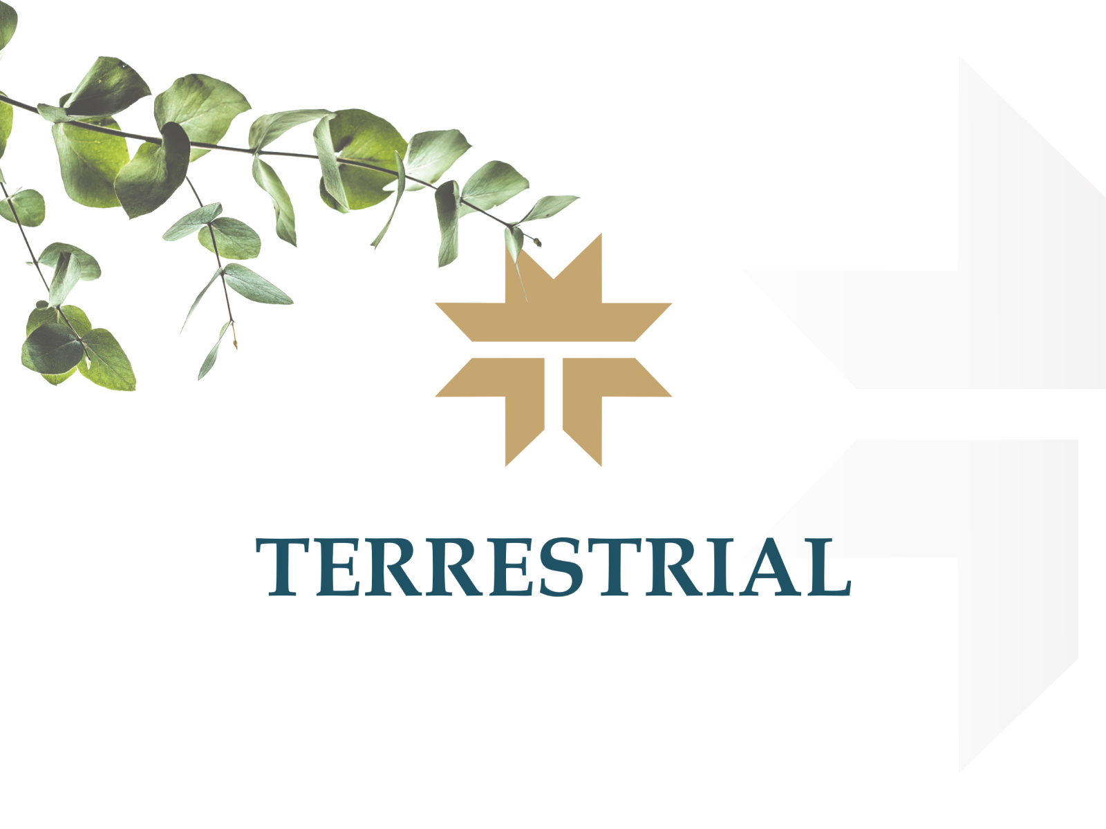 Terrestrial logo design by Filip Lipiński on Dribbble