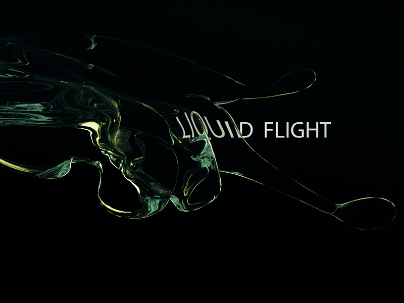 Liquid Flight by Zadie Studio on Dribbble