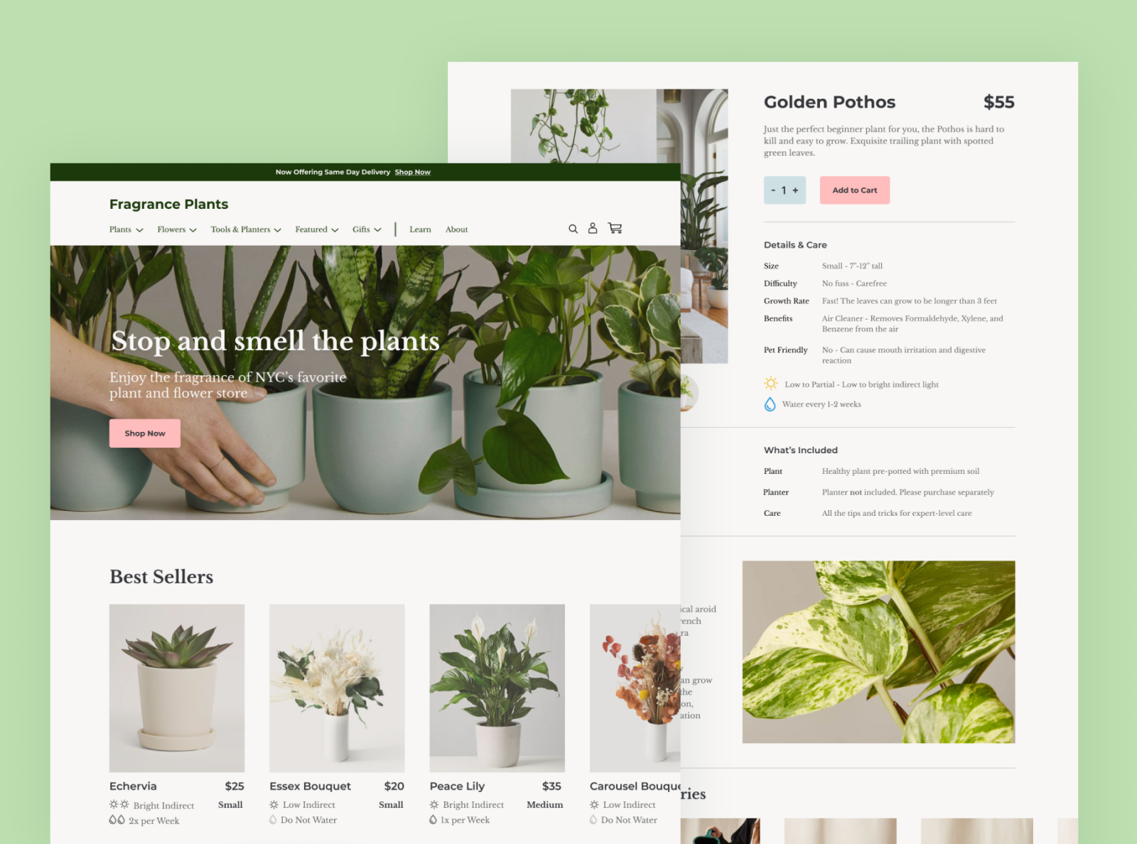 Plant store website concept by Esther Chung on Dribbble