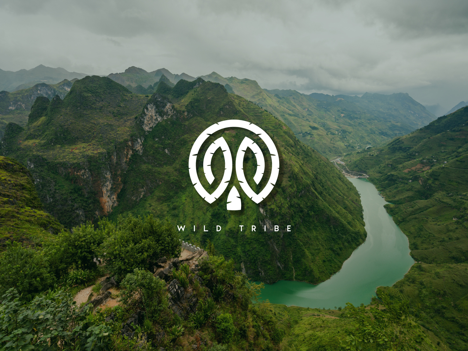 Wild Tribe - Logo Concept by Zaufolio on Dribbble