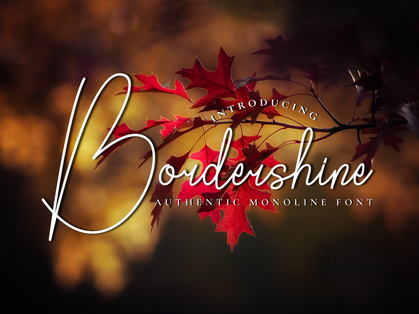 Script Modern Font designs, themes, templates and downloadable graphic ...