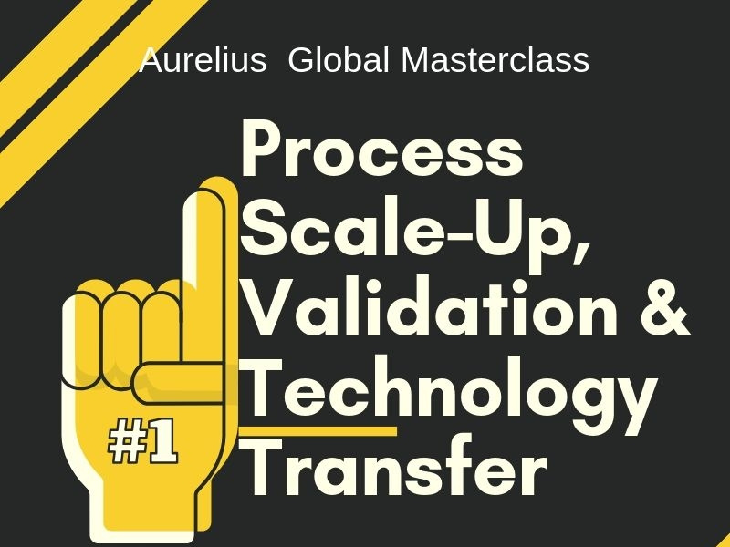 Dribbble - process scale up training.jpg by aviral