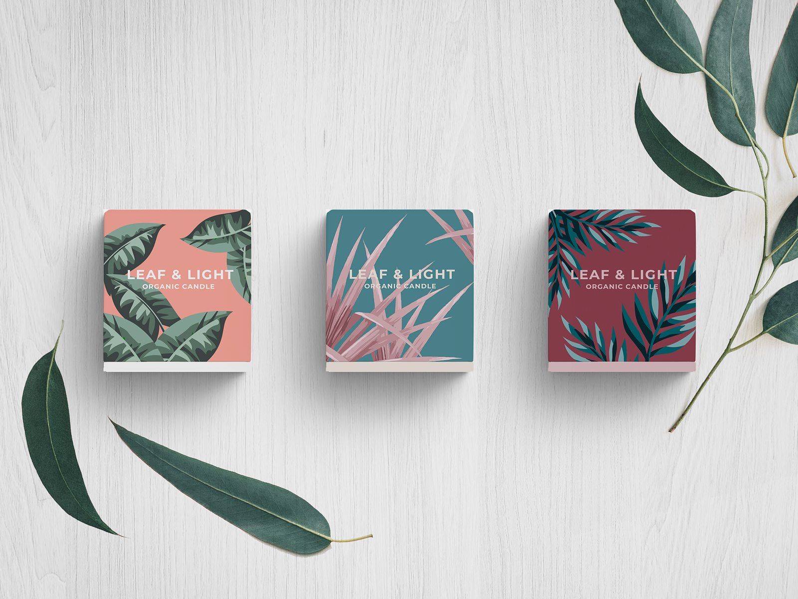 LEAF & LIGHT | PACKAGING DESIGN by Love Lucy Creative on Dribbble