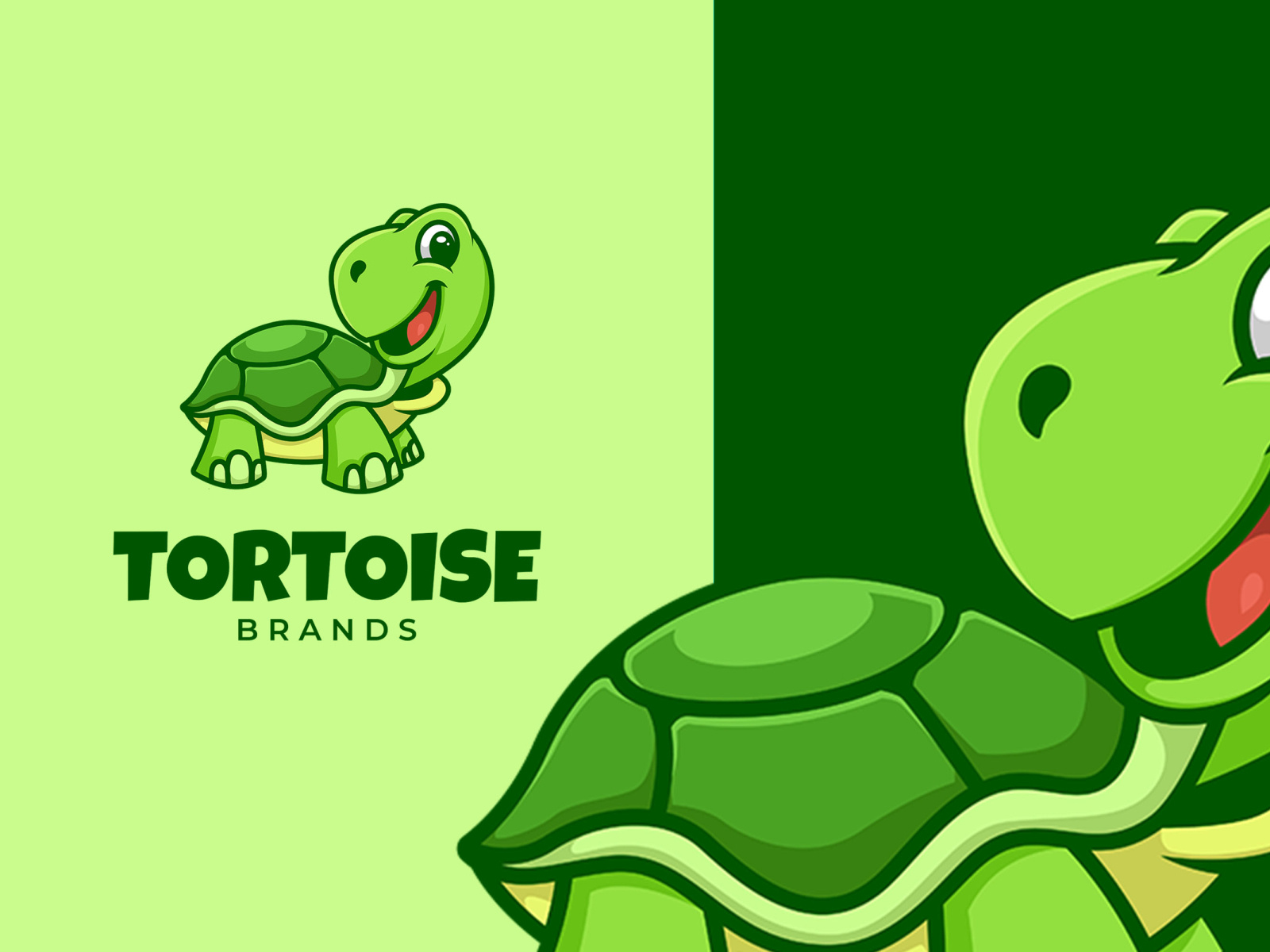 Tortoise Brand by Aji Waluyo on Dribbble