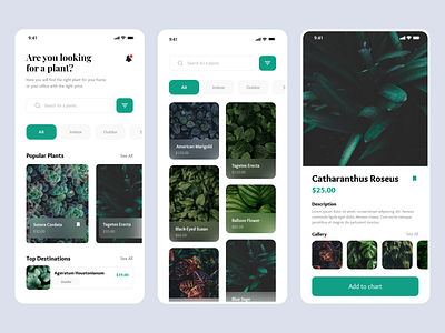 Plants Shop Mobile App by Ilya Studio on Dribbble