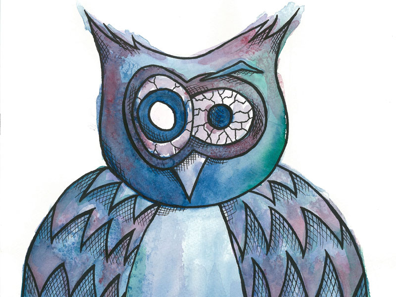 Karl the Owl by Deidre Hayden on Dribbble