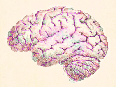 Darwin Week by Tyler Owen on Dribbble