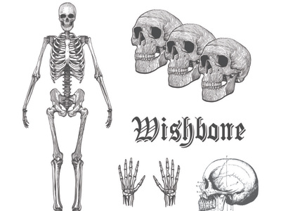 Wishbone by Kevin Caesar on Dribbble
