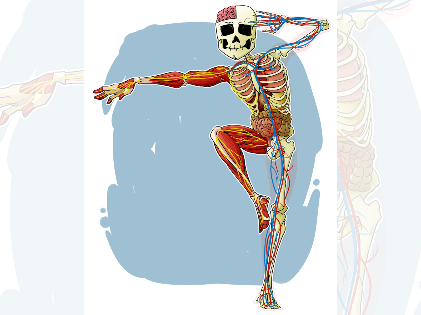 Hip-hop dance anatomical skeleton by Serhii Tatsiuk on Dribbble