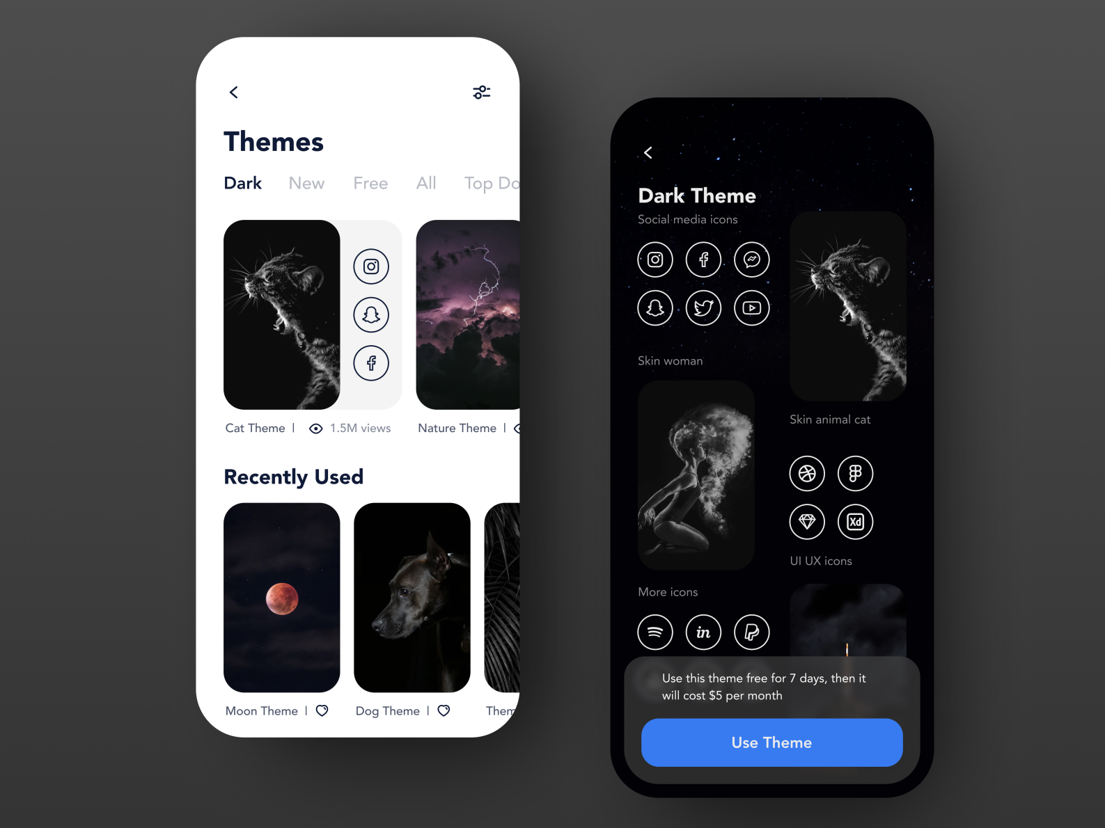Theme app by Christian Linares on Dribbble