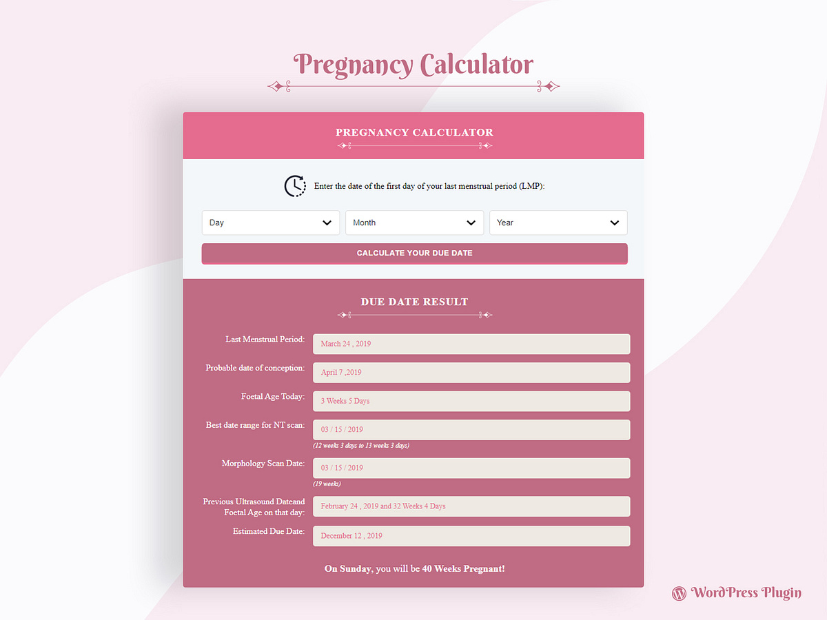 WP Pregnancy Calculator by Pixel Signs on Dribbble