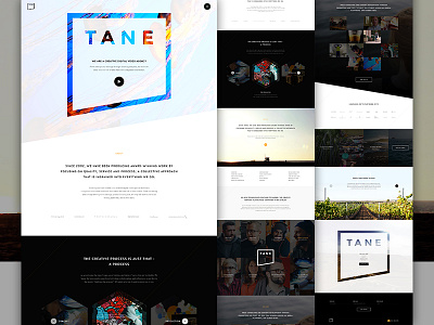TANE Pitch by Elegant Seagulls on Dribbble