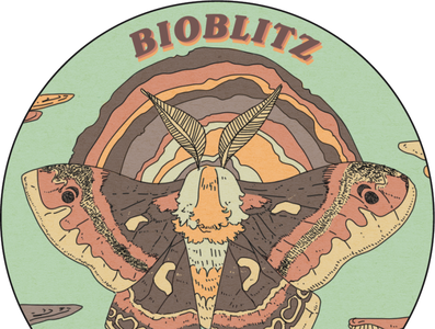 BIOBLITZ by Colleen Loges on Dribbble
