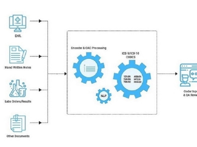 Medical Coding Solutions by Ashley Stone on Dribbble