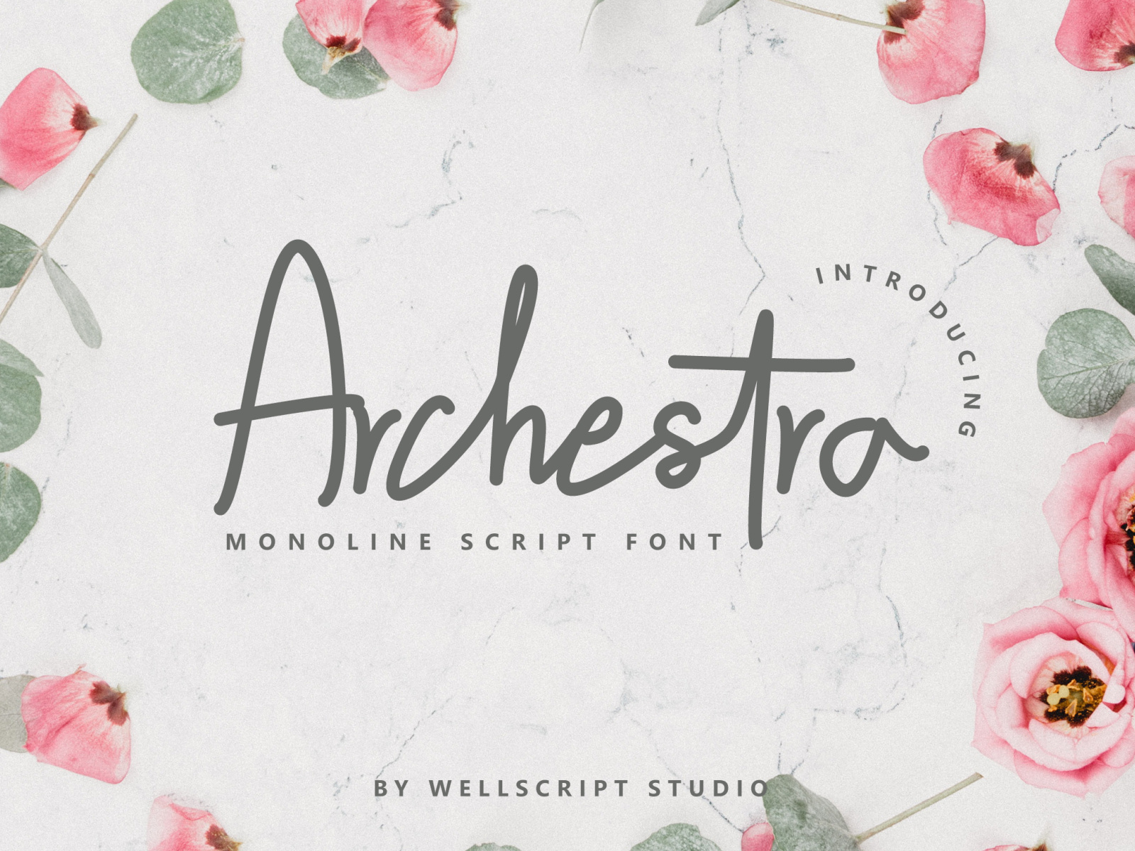 Archestra - Handwritten Script by Wellscript Studio on Dribbble
