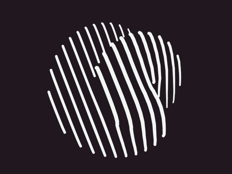 Lines.gif by Mathew Lucas ︎ on Dribbble