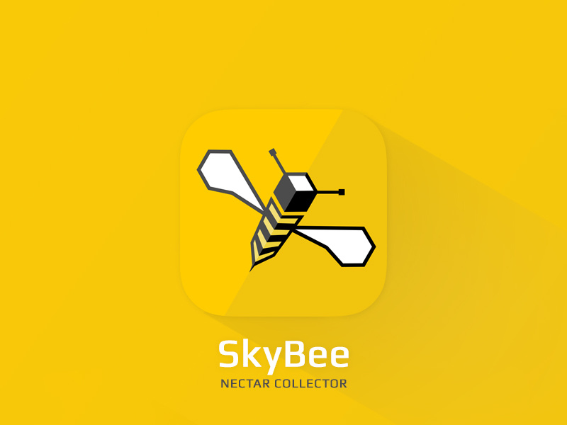 Icon SkyBee by Dennis de Beurs on Dribbble
