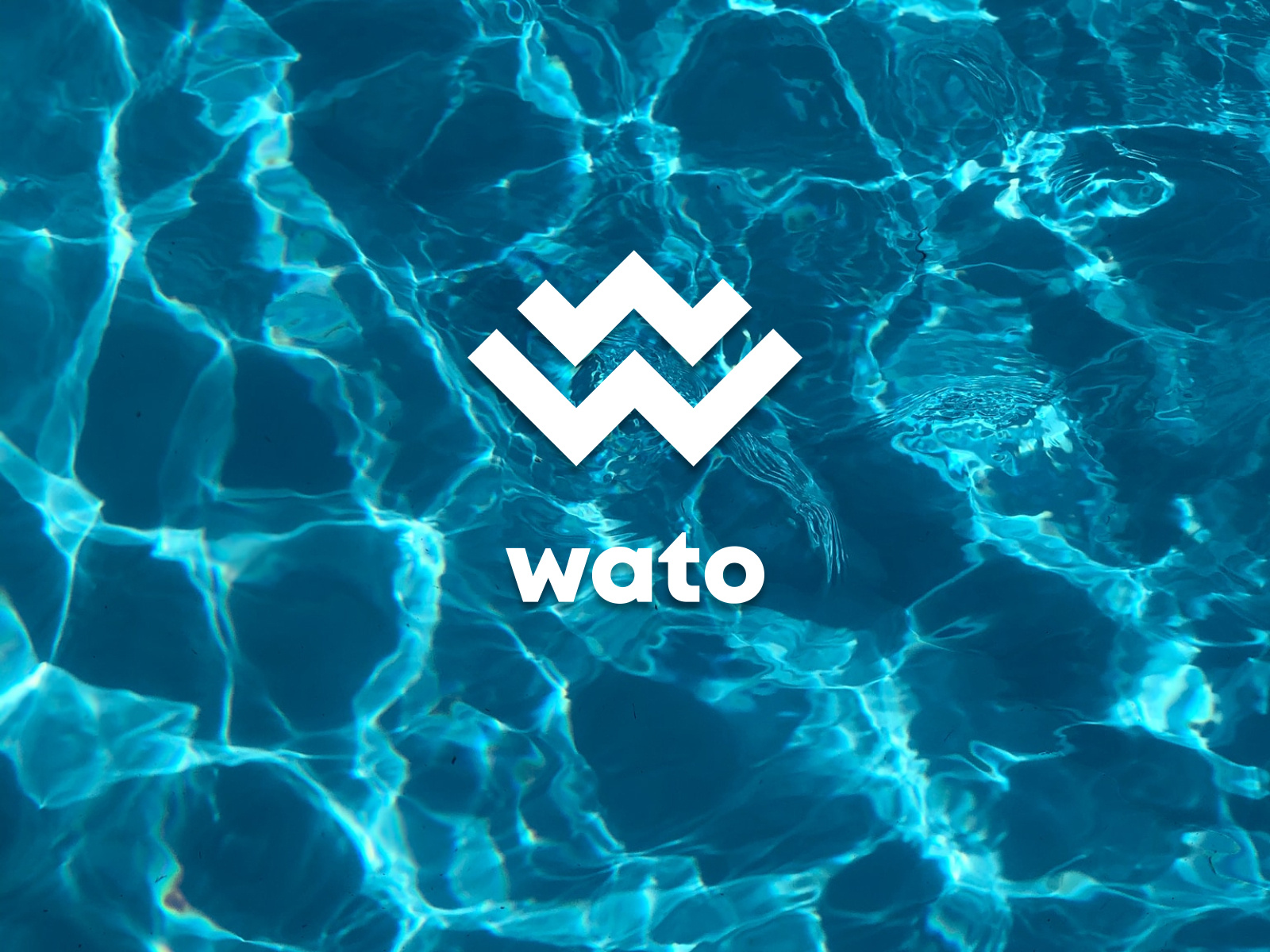 Wato - a deep dive into branding water by Nina Maksymova on Dribbble