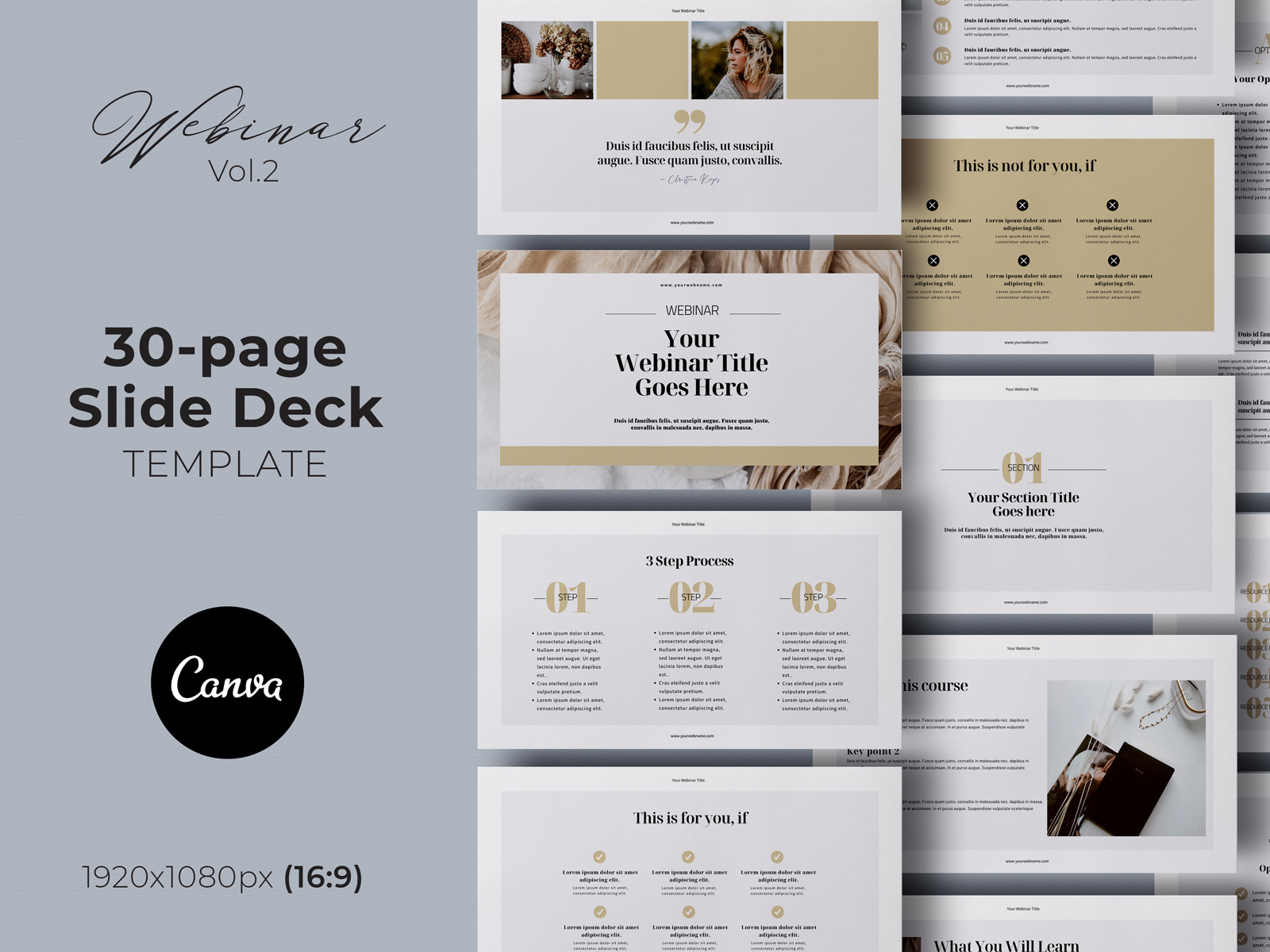 Paper Party Supplies Webinar Template Canva Template Pitch Deck 