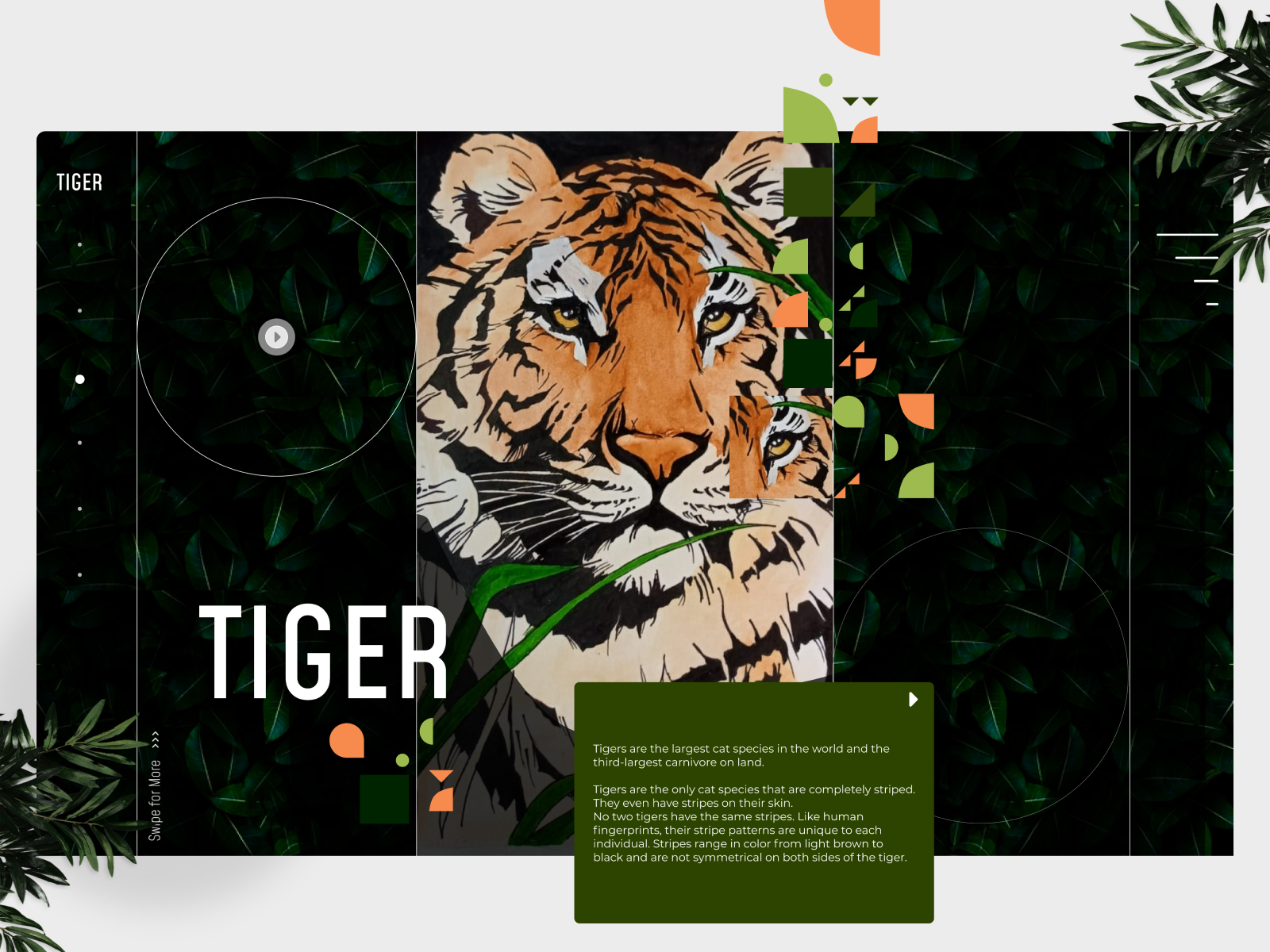 Animal Website UI (Tiger) - Part 1 by Nishant Saini on Dribbble