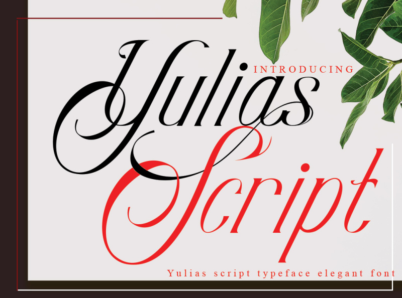 Yulias Scripte font by jehansyah on Dribbble
