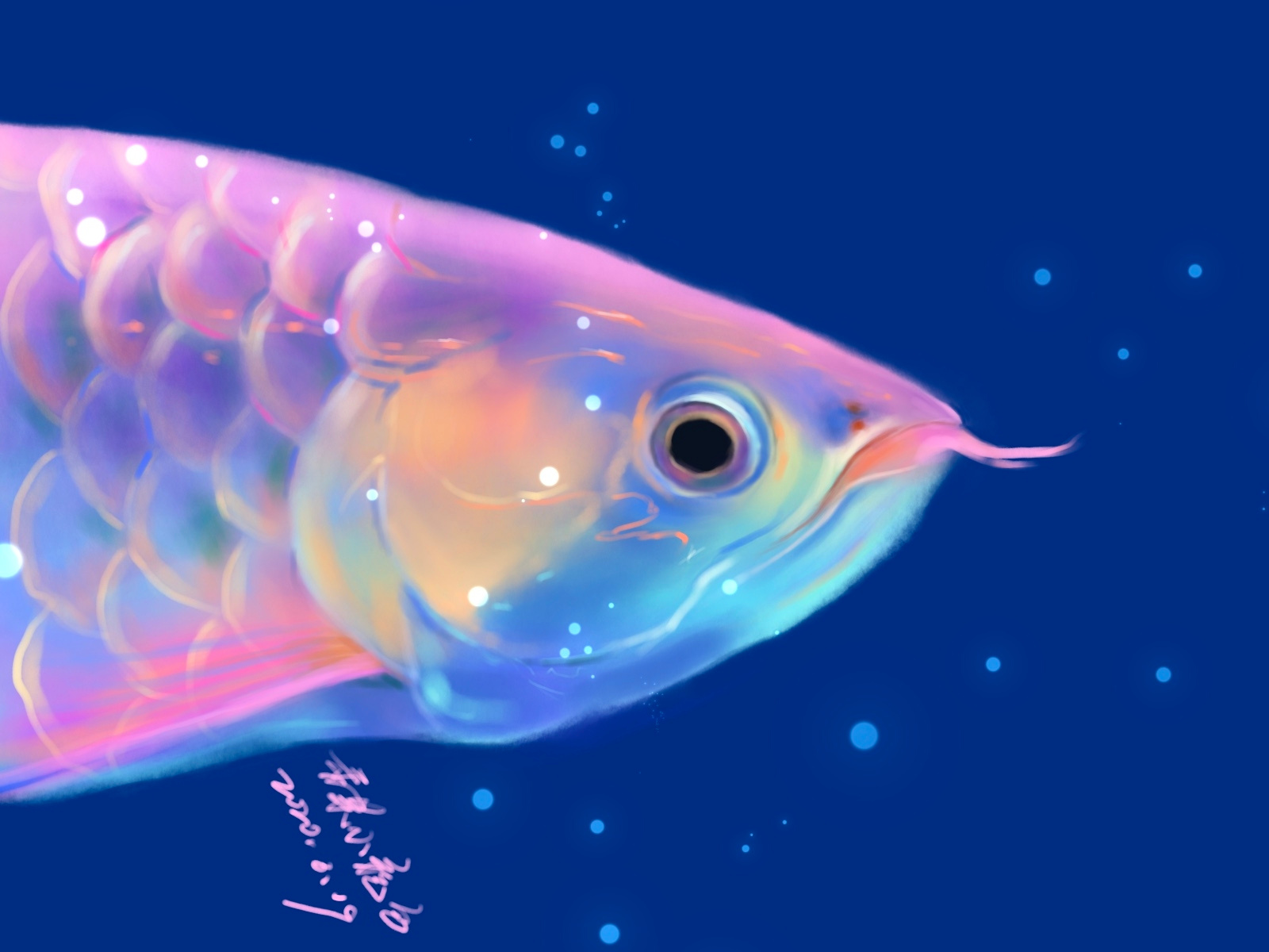 fish （I have an invitation code. Who needs it） by 香菜小龍包 on Dribbble