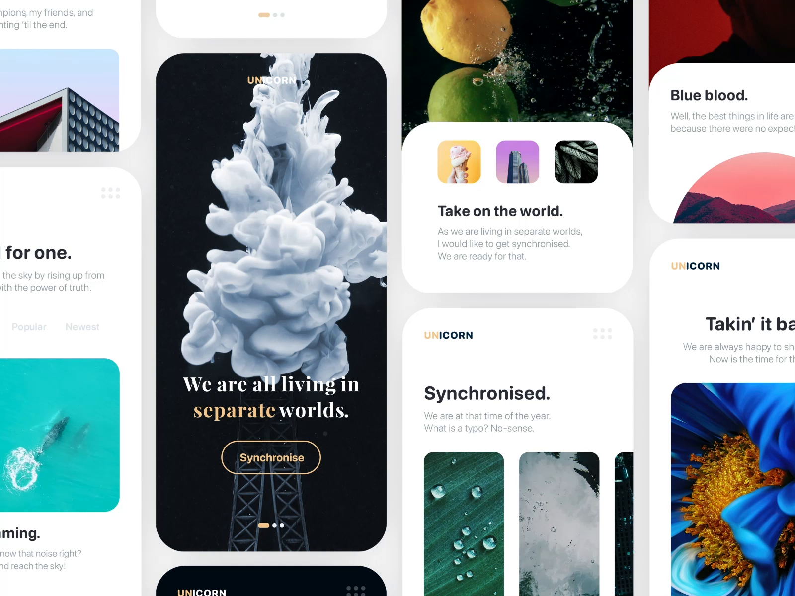 Modern Concept App by Julien Brion on Dribbble