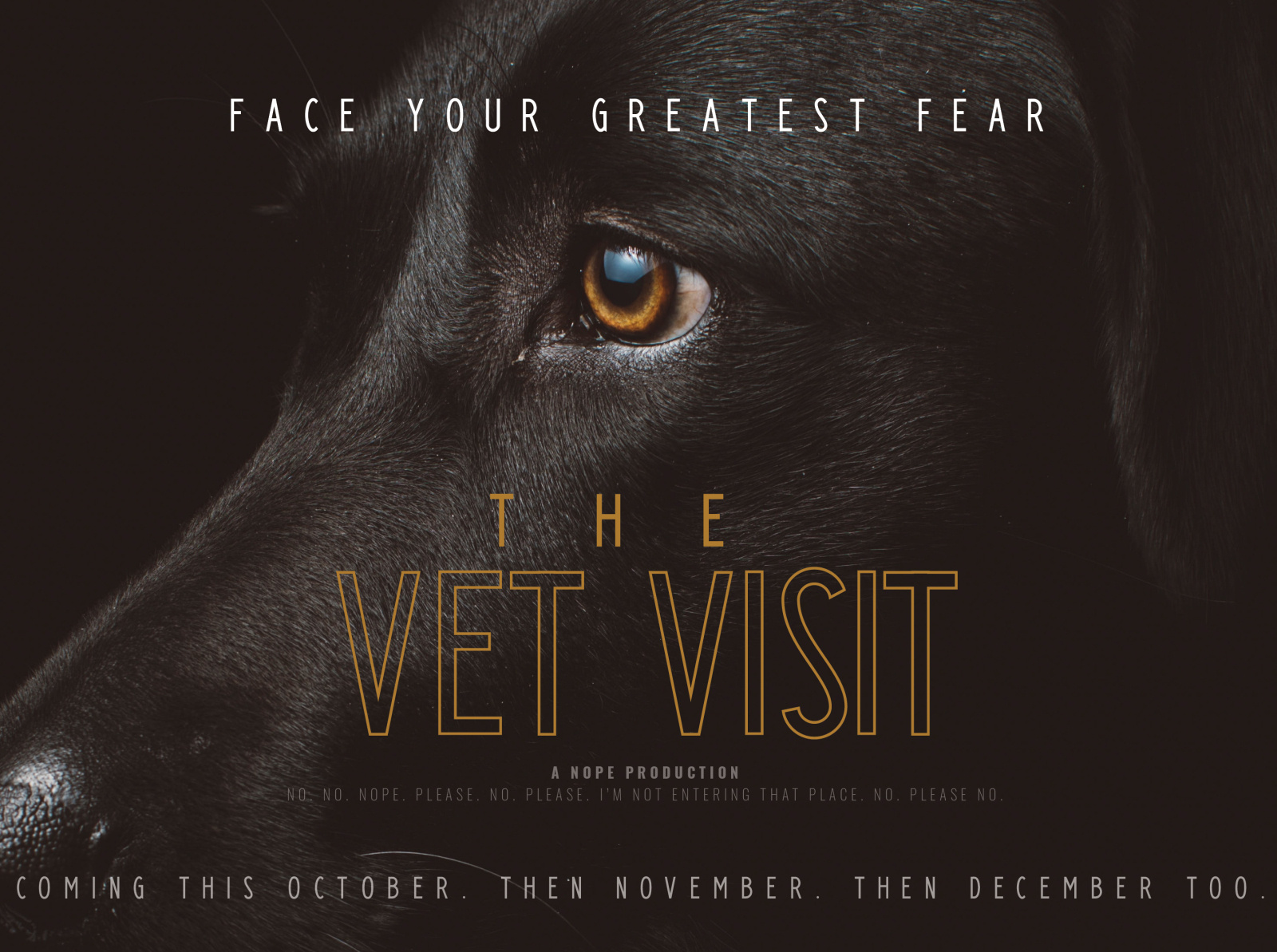 Horror Movies for Dogs by Akshar Pathak on Dribbble