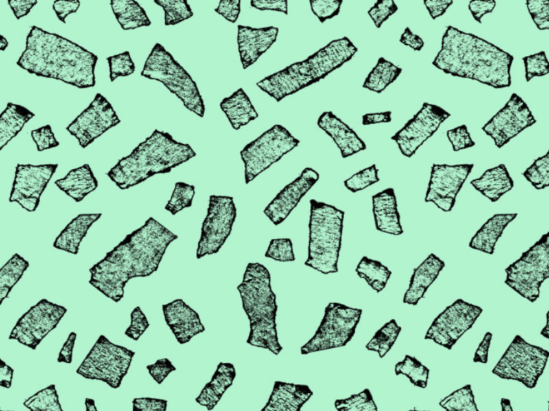 Mint Chocolate Chip by Nikki Glaberman on Dribbble