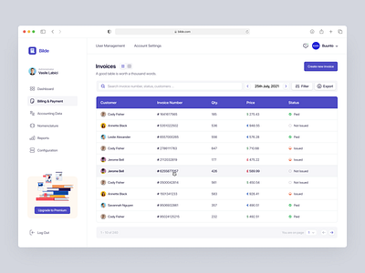 Billing platform Ui / Ux design by Vasile Labici on Dribbble