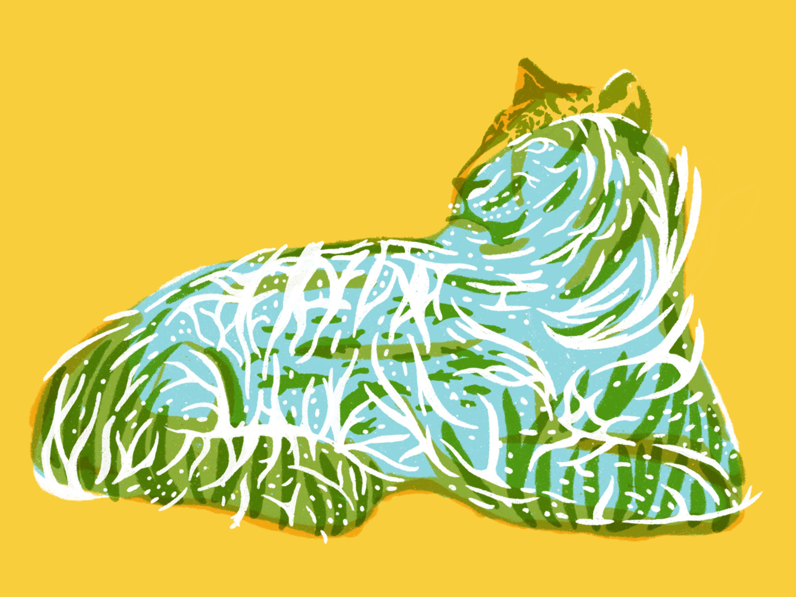 Catfish by Kelsey Malsom on Dribbble