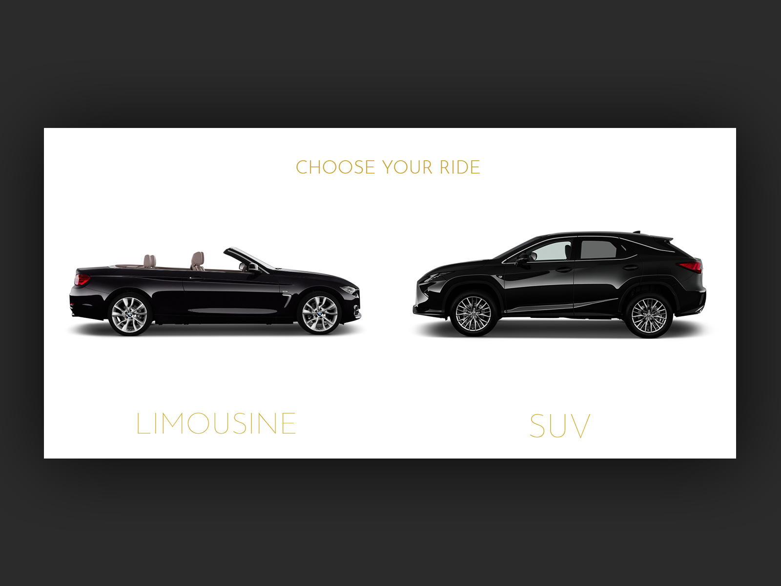 Choose your ride by Adina on Dribbble